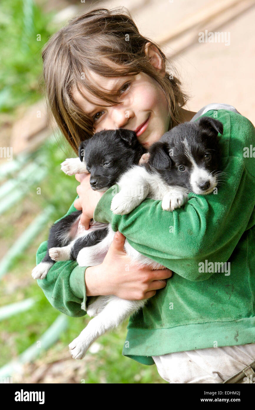 Two puppy Border collie dog in arms Lucky child happy girl puppy in hug ...