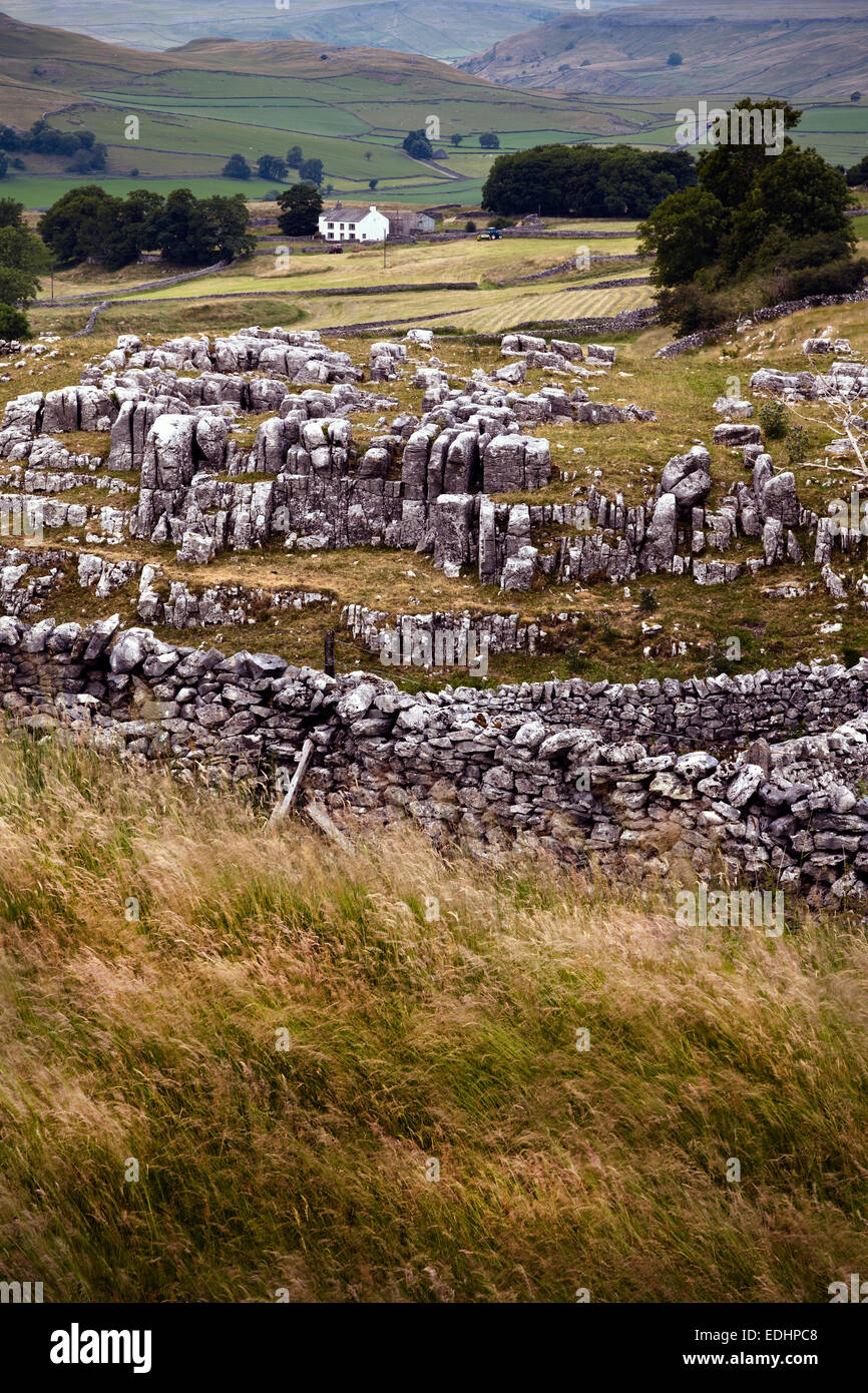 traditional yorkshire scene Stock Photo - Alamy