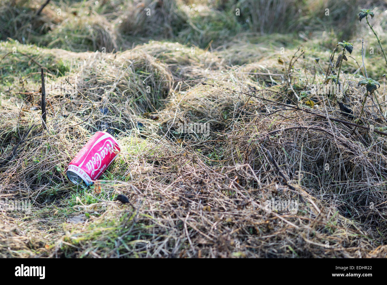 Trash garbage pollution coca cola hi-res stock photography and images ...