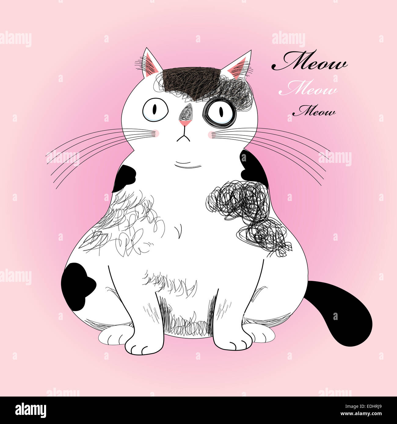 big fat cat on a pink background Stock Photo - Alamy