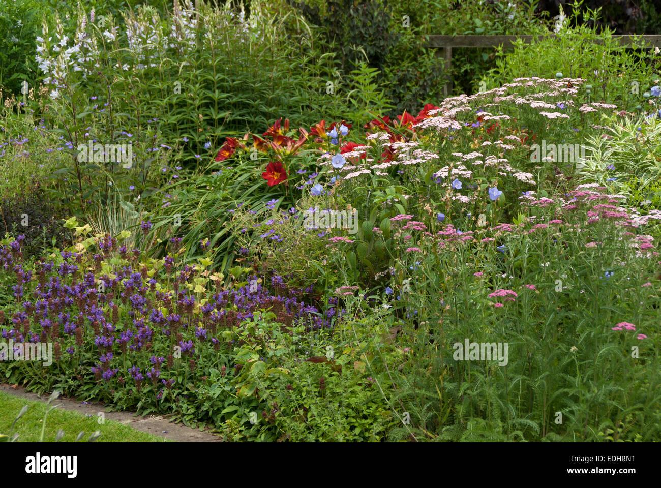 Geranium flower border hi-res stock photography and images - Alamy