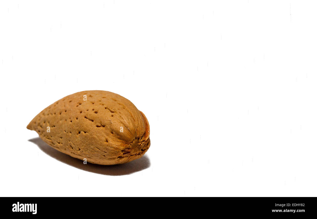 single, isolated almond nut in shell against white background ...