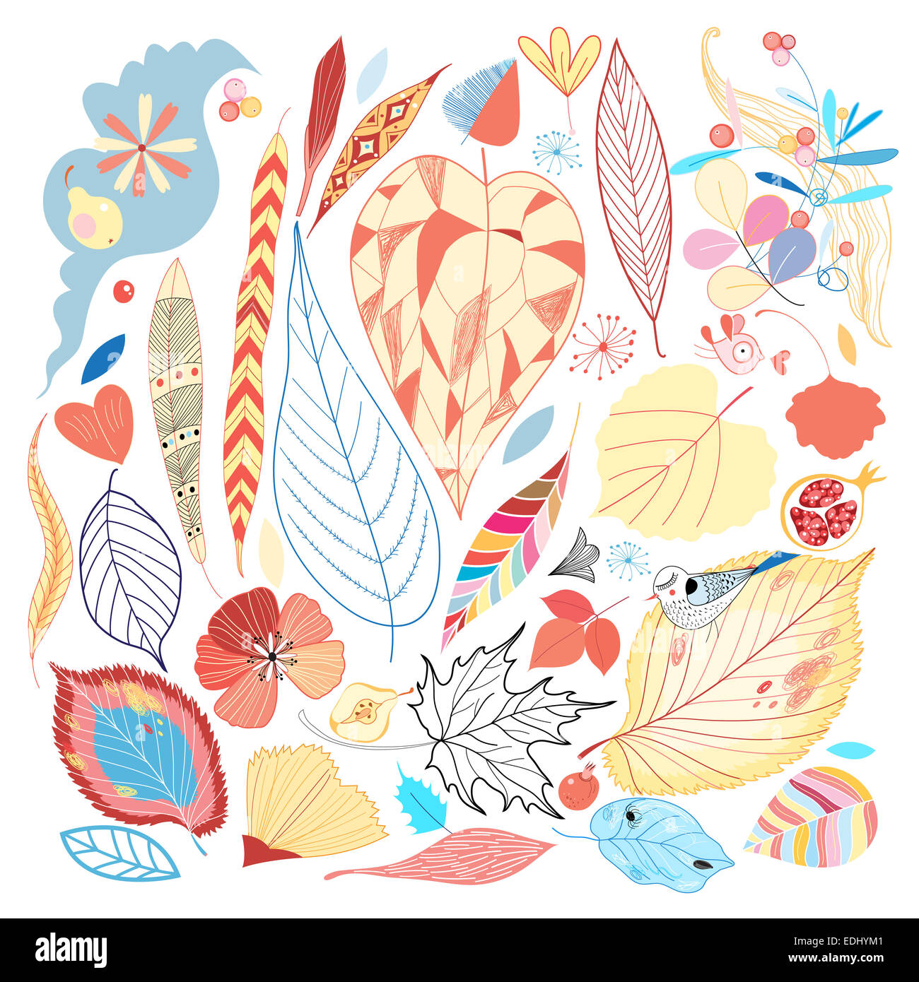 Natural elements hi-res stock photography and images - Alamy