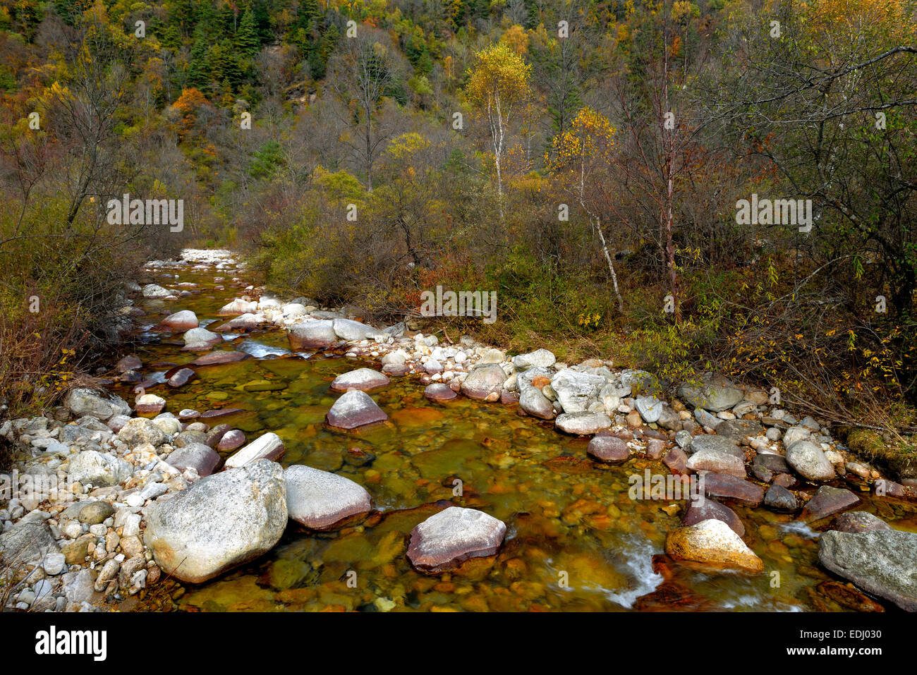 Zhouzi hi-res stock photography and images - Alamy