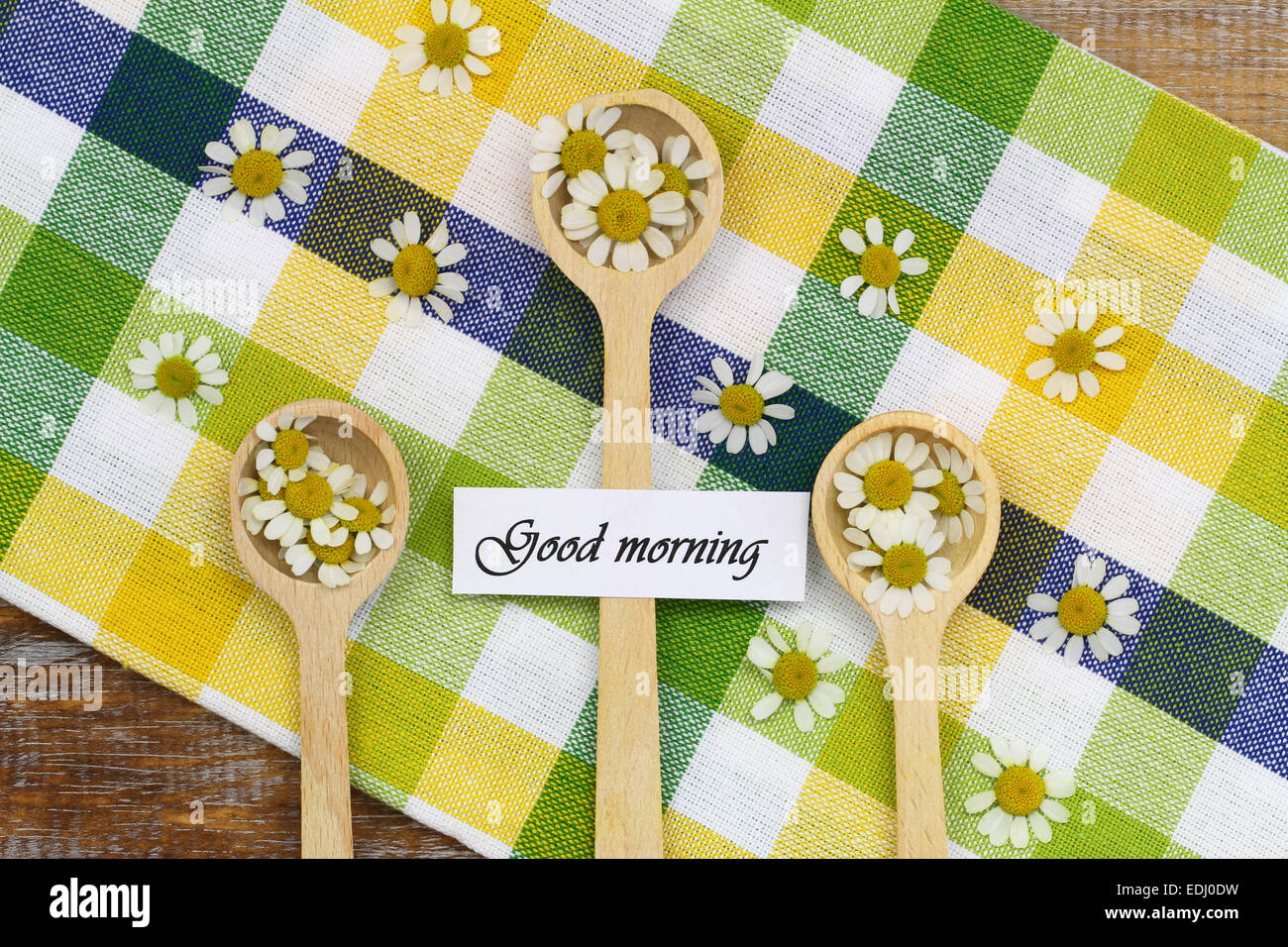 Good morning card with fresh chamomile flowers on wooden spoons on ...