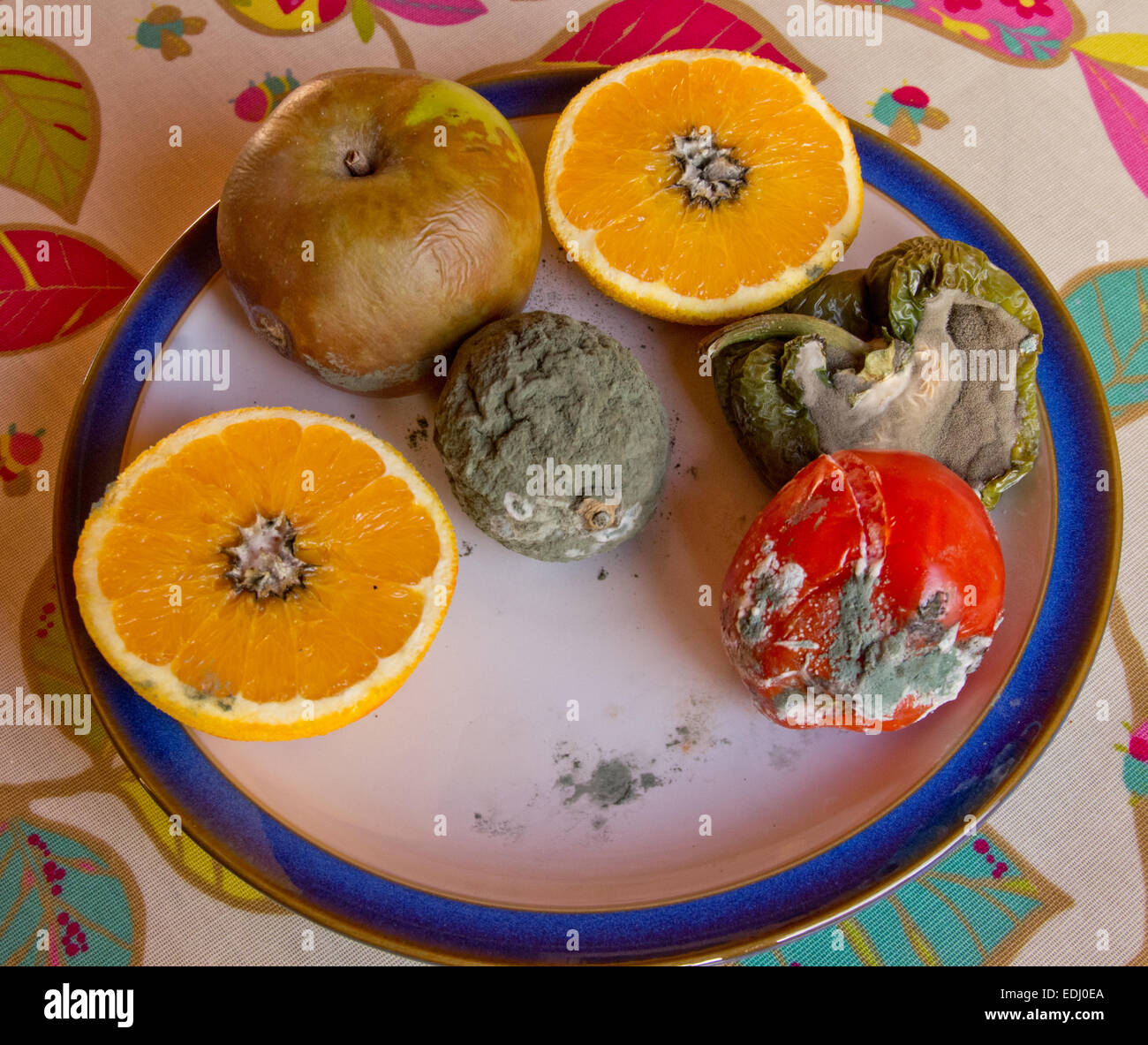 Rotten fruit hi-res stock photography and images - Alamy Rotten fruit hi-res stock photography and images - Alamy