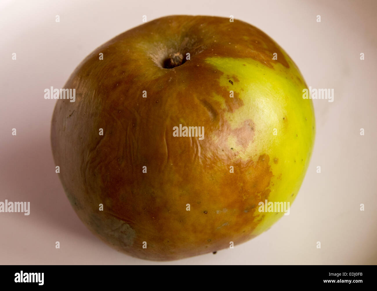 Apple rotting hi-res stock photography and images - Alamy