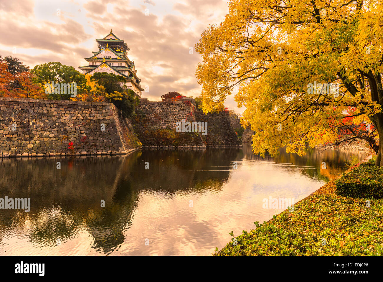 Osaka Castle in Osaka with autumn leaves. Japan Stock Photo - Alamy