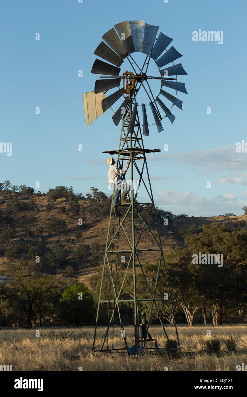 A photograph of a farmer climbing a windmill to repair it. The ...