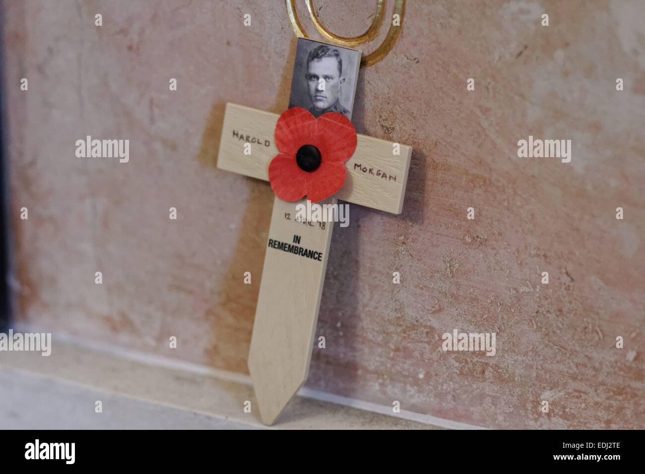 Us wwi flanders field hi-res stock photography and images - Alamy