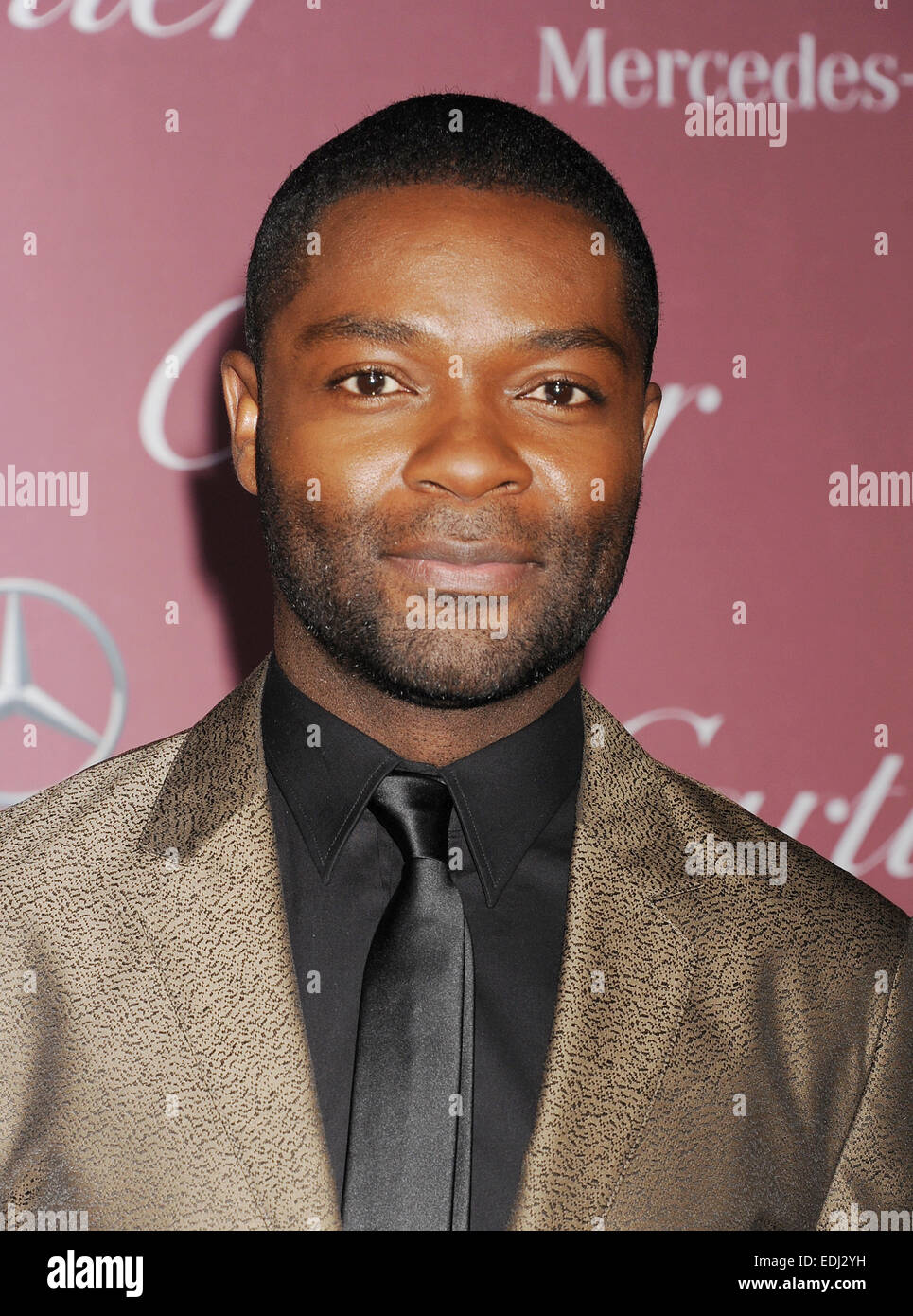 DAVID OYELOWO English film actor in January 2015. Photo Jeffrey Mayer ...