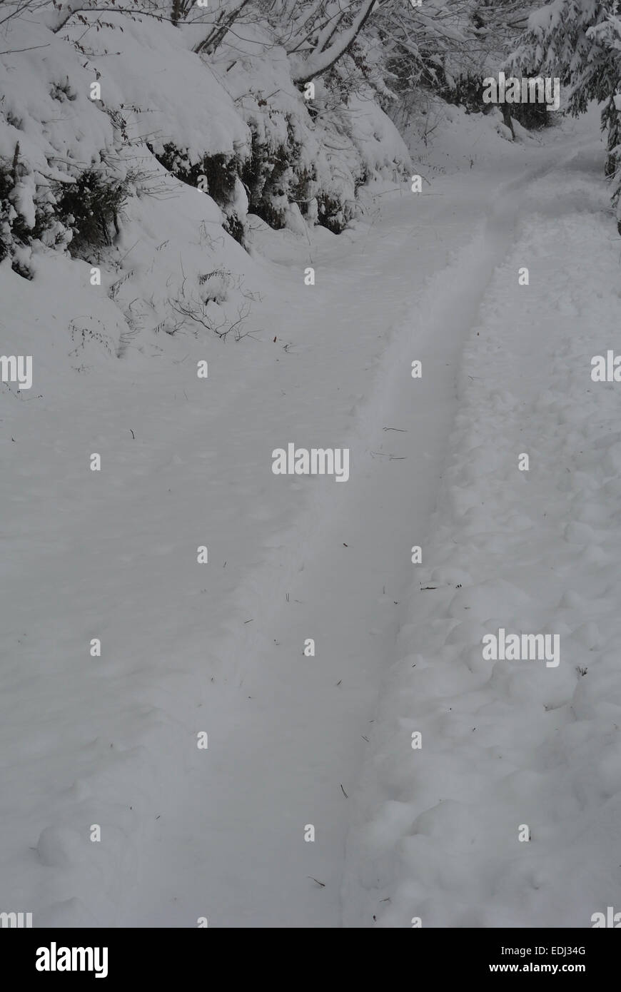 Snow covered path Stock Photo - Alamy