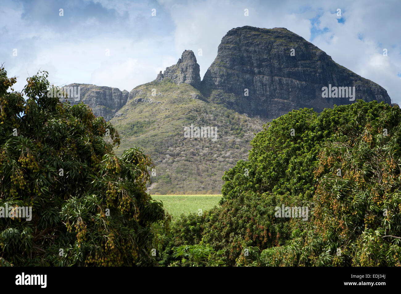 Mauritius, Quatre Bornes, montagne du Rempart and Trois Mamelles ...