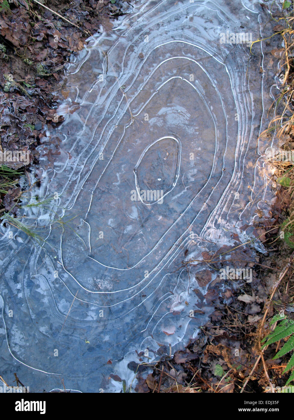 Rings on a frozen puddle Stock Photo - Alamy
