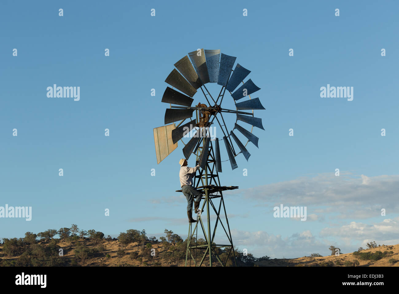A photograph of a farmer climbing a windmill to repair it. The ...