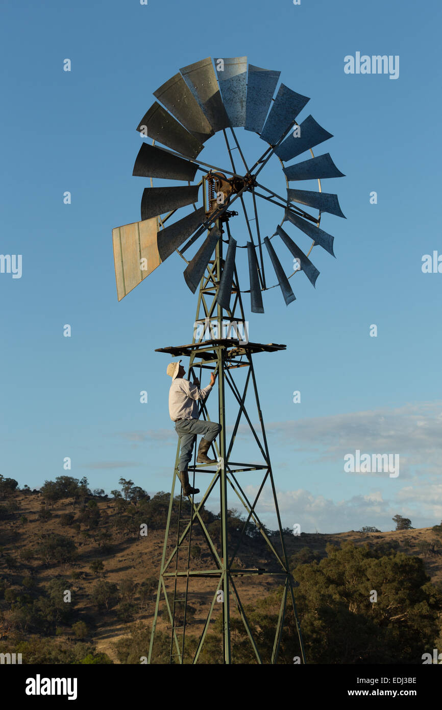 A photograph of a farmer climbing a windmill to repair it. The ...