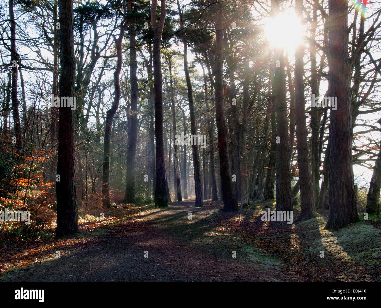 Meeth devon hi-res stock photography and images - Alamy