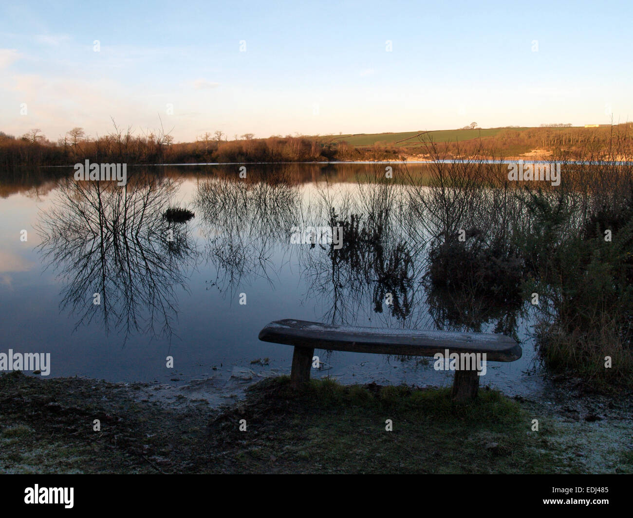 Meeth quarry nature hi-res stock photography and images - Alamy