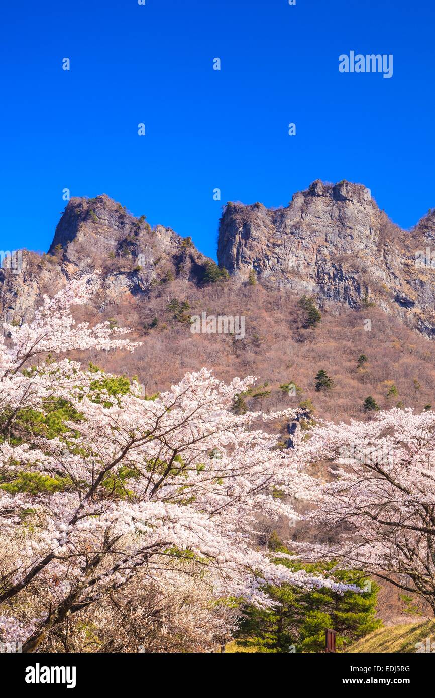 Cherry tree and Mt. Myogi in spring, Japan Stock Photo - Alamy