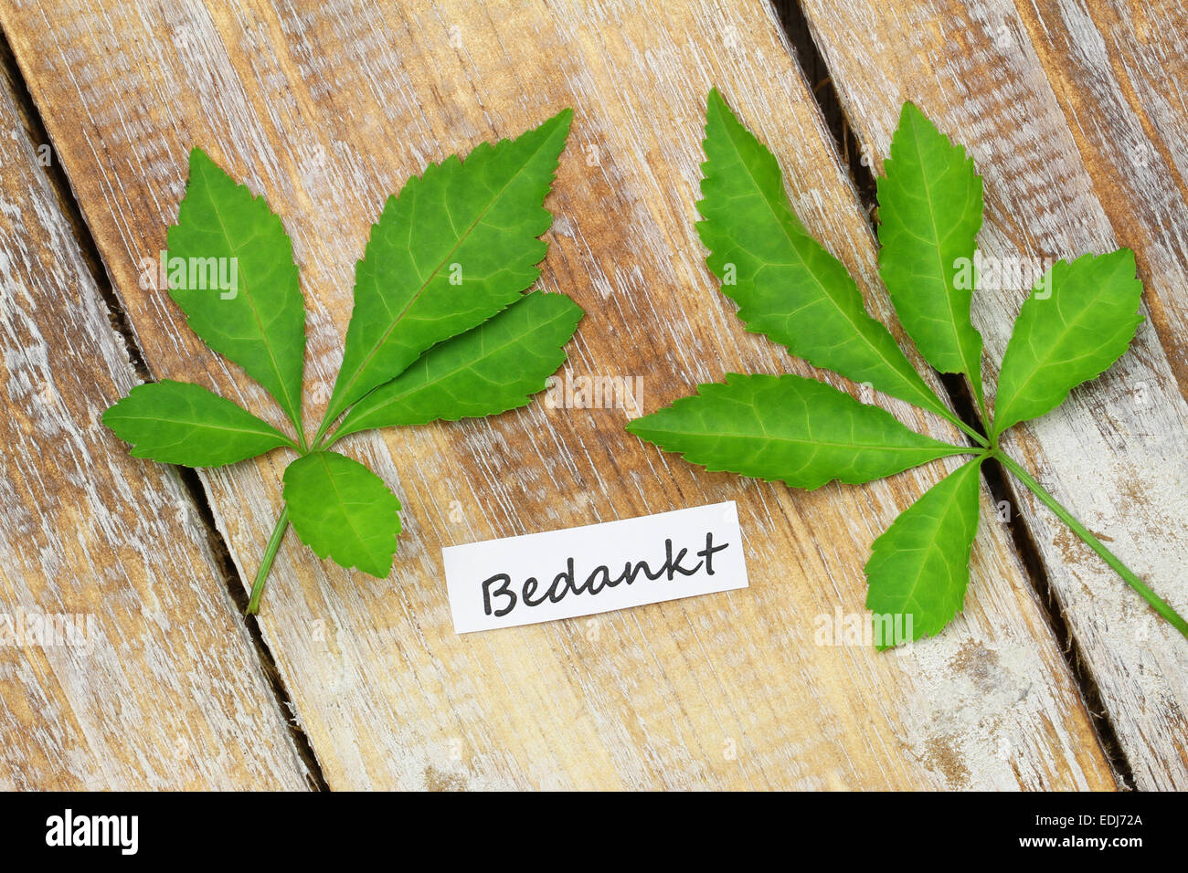 Dank je hi-res stock photography and images - Alamy