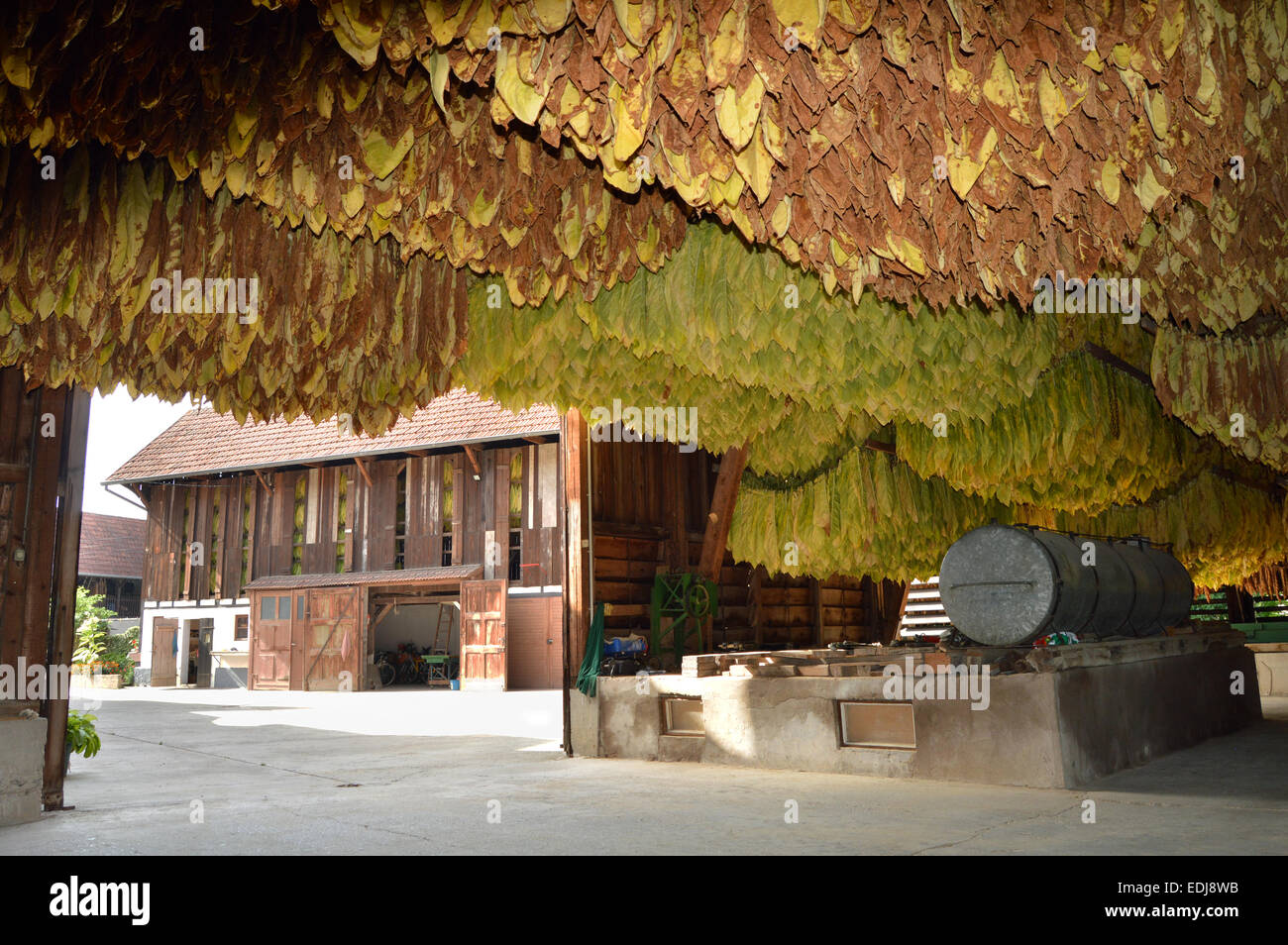 Wood drying kiln hi-res stock photography and images - Alamy