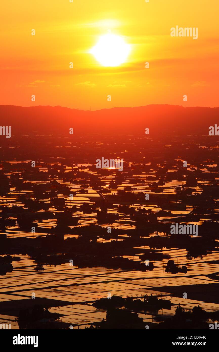 Sunset at flooded rice field, Sankyoson, Toyama, Japan Stock Photo - Alamy