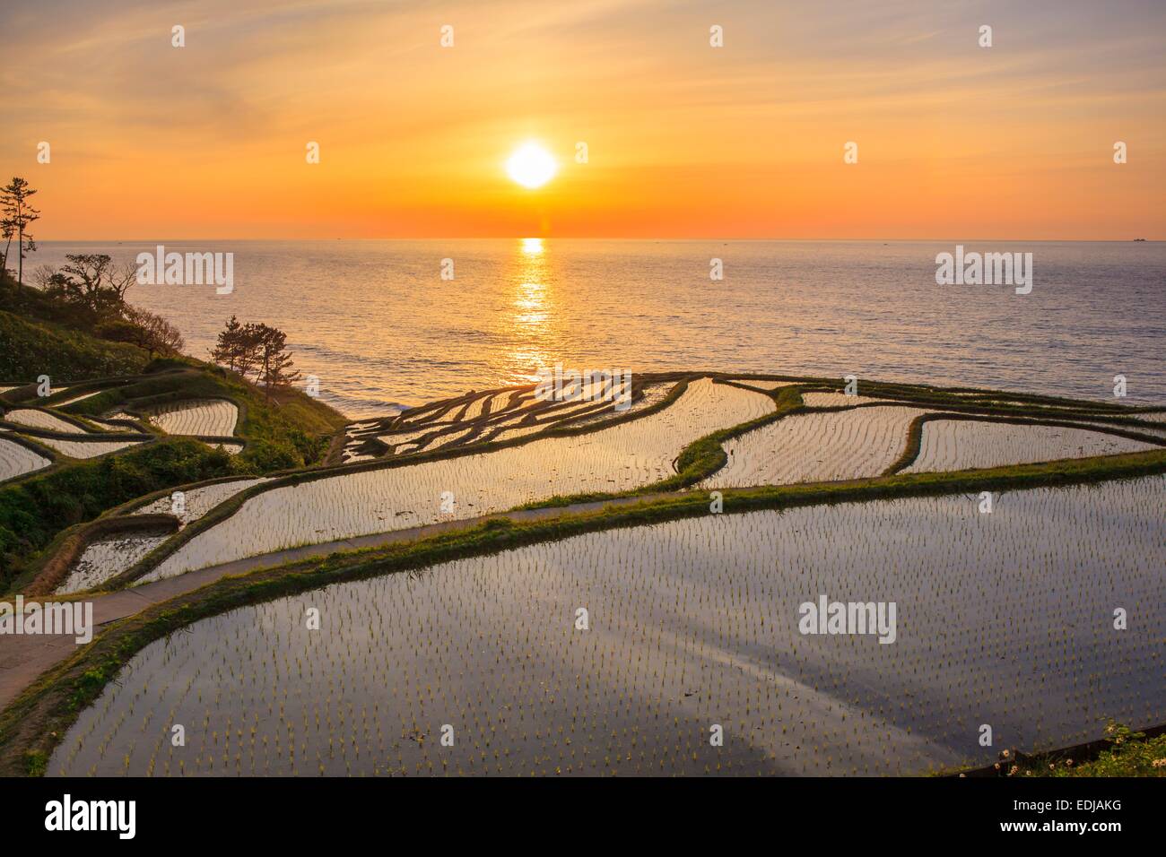 Senmaida rice terraces japan hi-res stock photography and images - Alamy