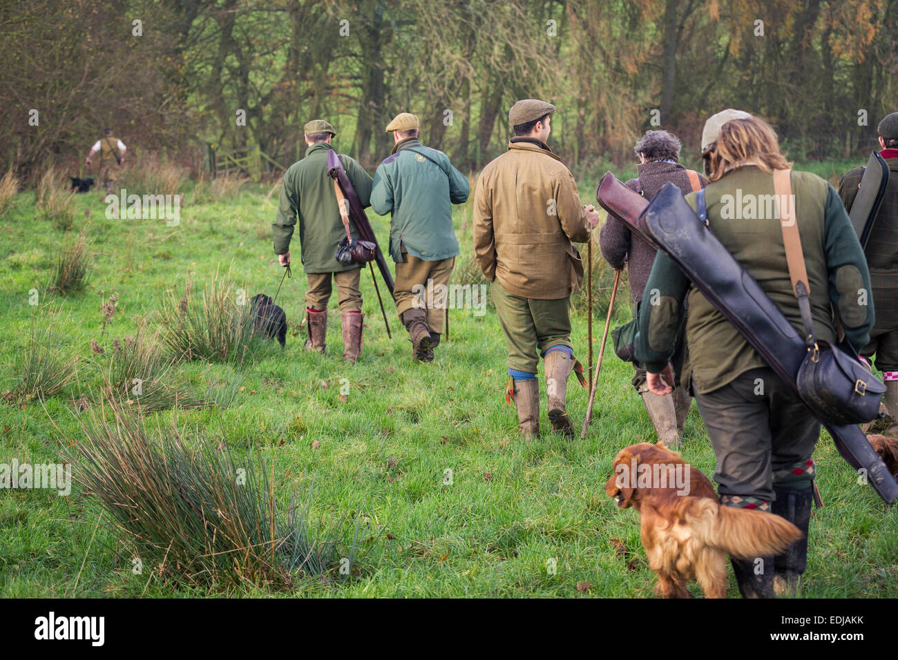 A Shooting Party, UK Stock Photo - Alamy