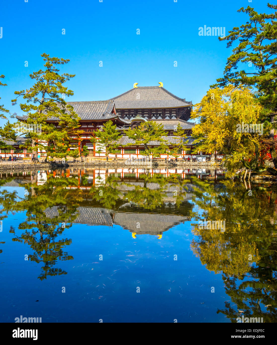 Todaiji temple kyoto hi-res stock photography and images - Alamy