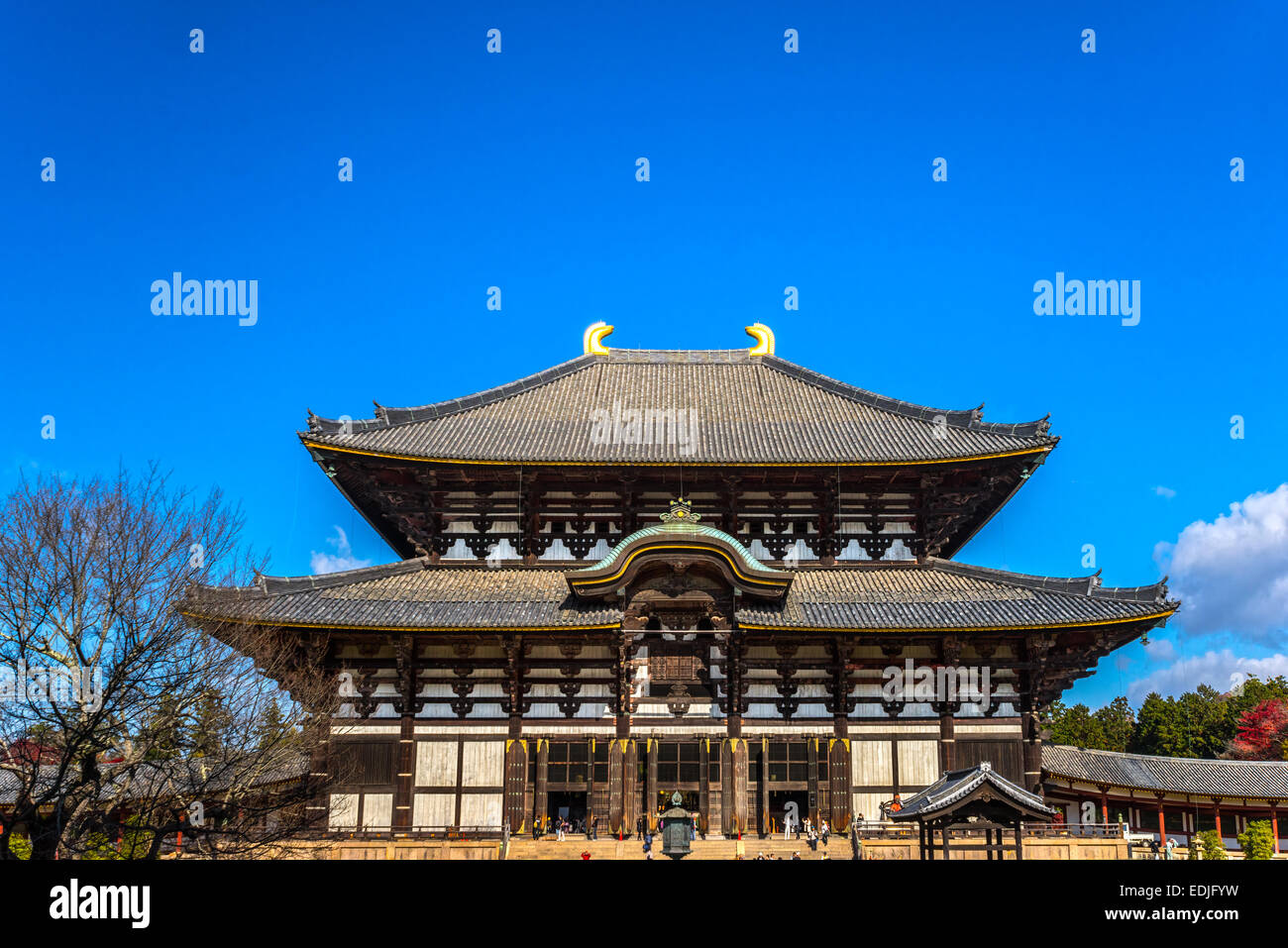 Todaiji temple kyoto hi-res stock photography and images - Alamy