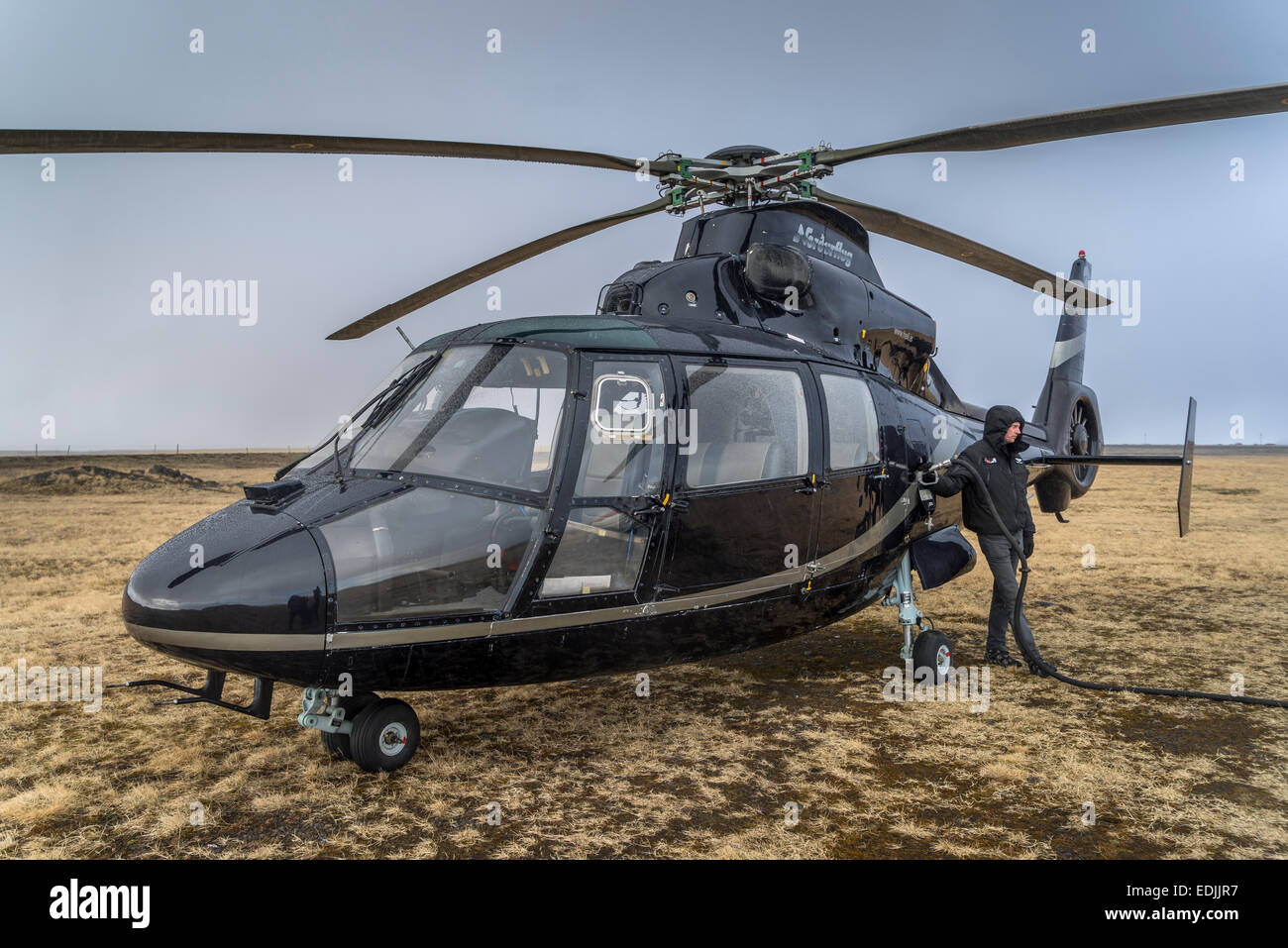 Pilot putting fuel in a helicopter, South Coast, Iceland Stock Photo ...