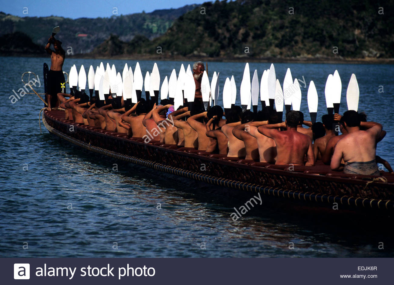 A waka, Maori pirogue, Waitangi Day, North Island, New Zealand Stock ...