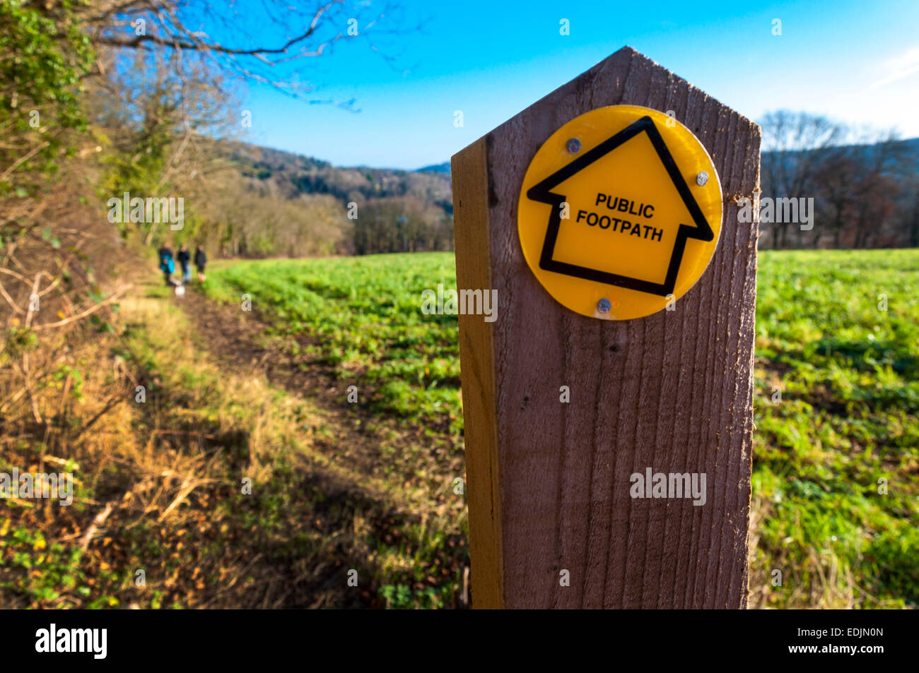 Public Footpath signage sign on post in rural Somerset England Stock ...