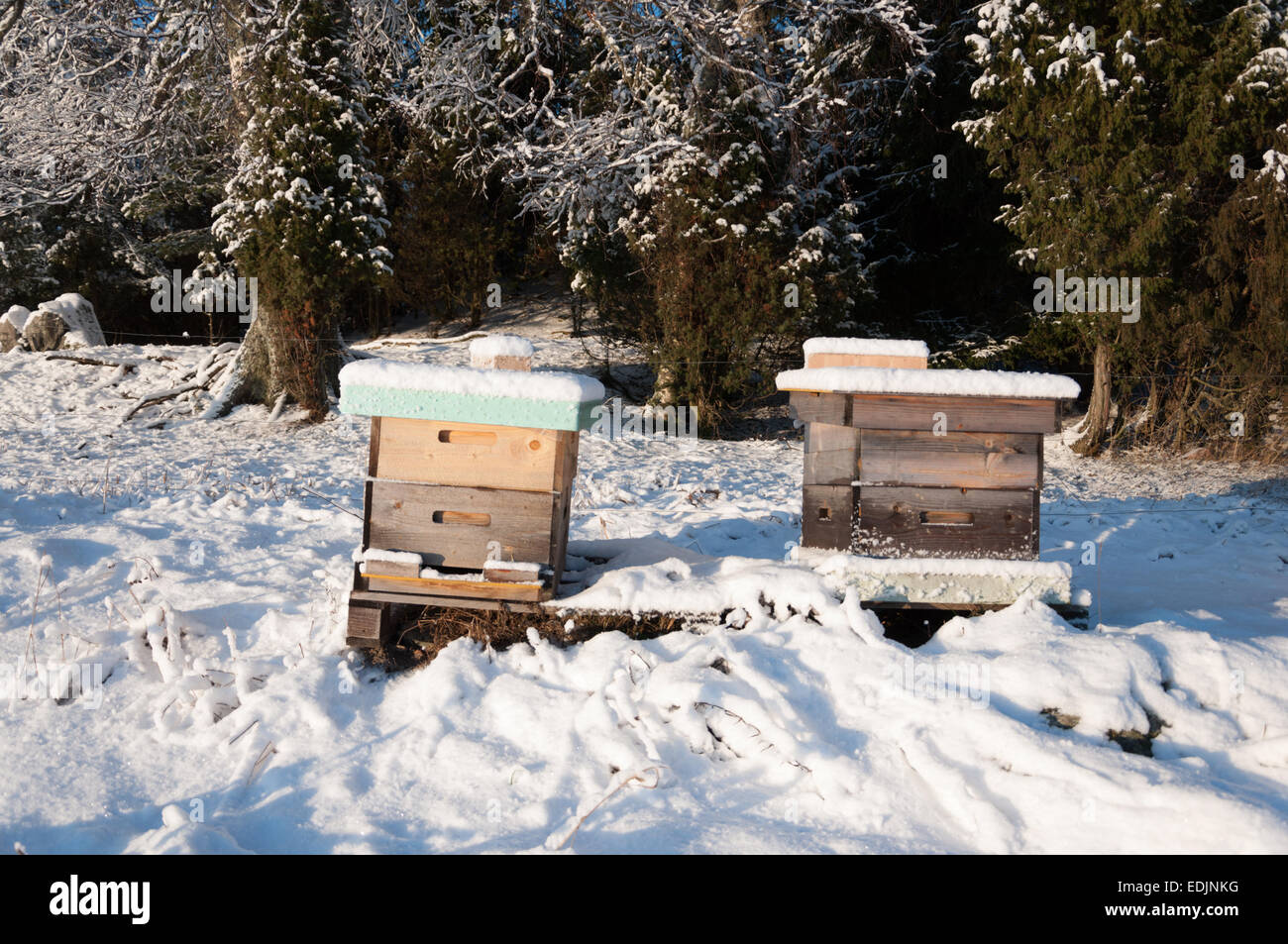 Finland beehives hi-res stock photography and images - Alamy