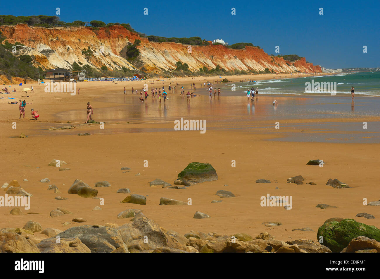 Praia Falesia, Falesia beach, Albufeira, Algarve, Portugal Stock Photo ...