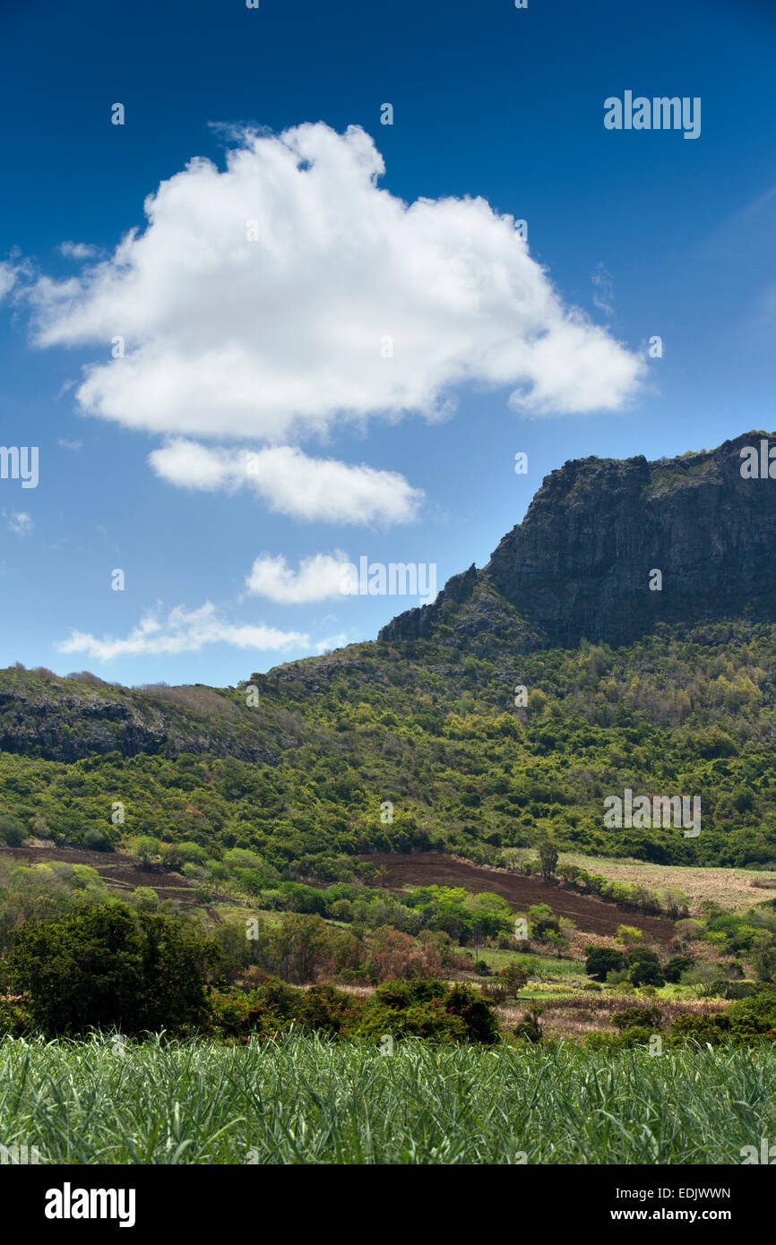 Mauritius creve coeur montagne deux hi-res stock photography and images ...