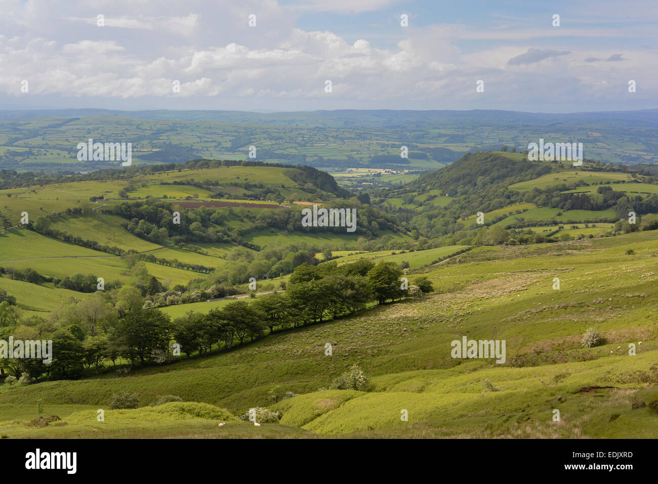 Welsh countryside in the Brecon Beacon National Park, Mid Wales, UK ...