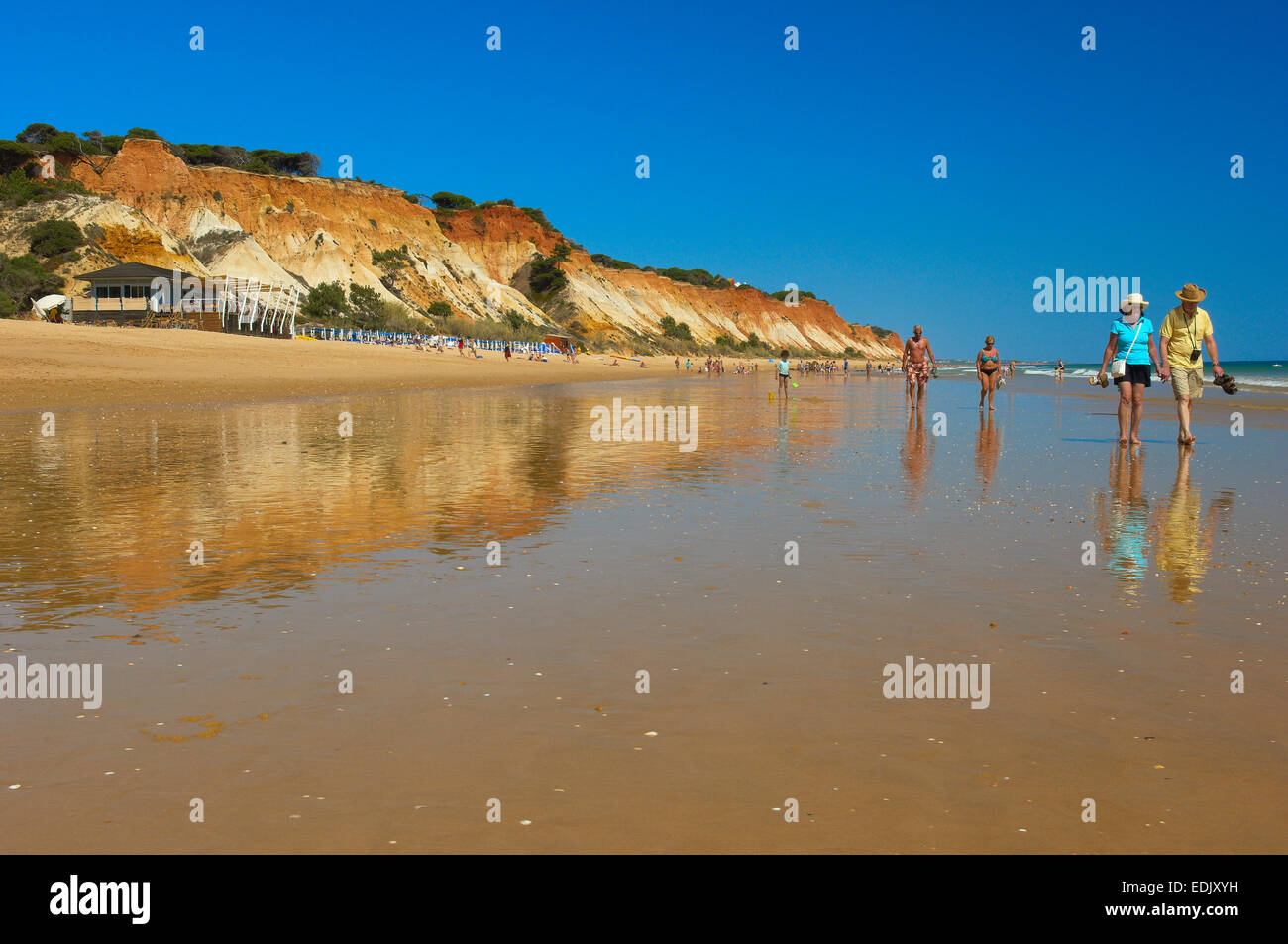 Praia Falesia, Falesia beach, Albufeira, Algarve, Portugal Stock Photo ...