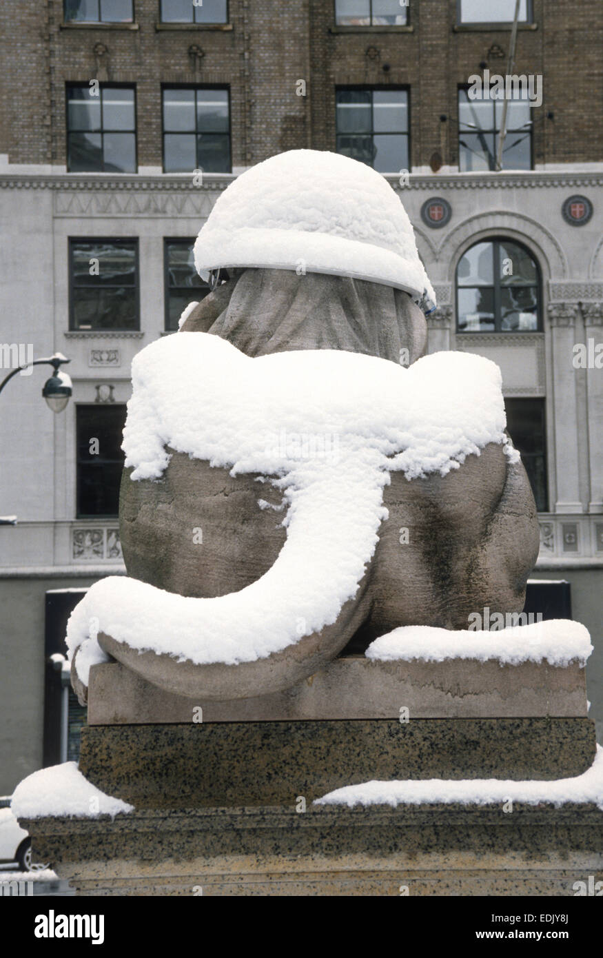 Patience "Library Lion" Public library in the Snow Stock Photo - Alamy