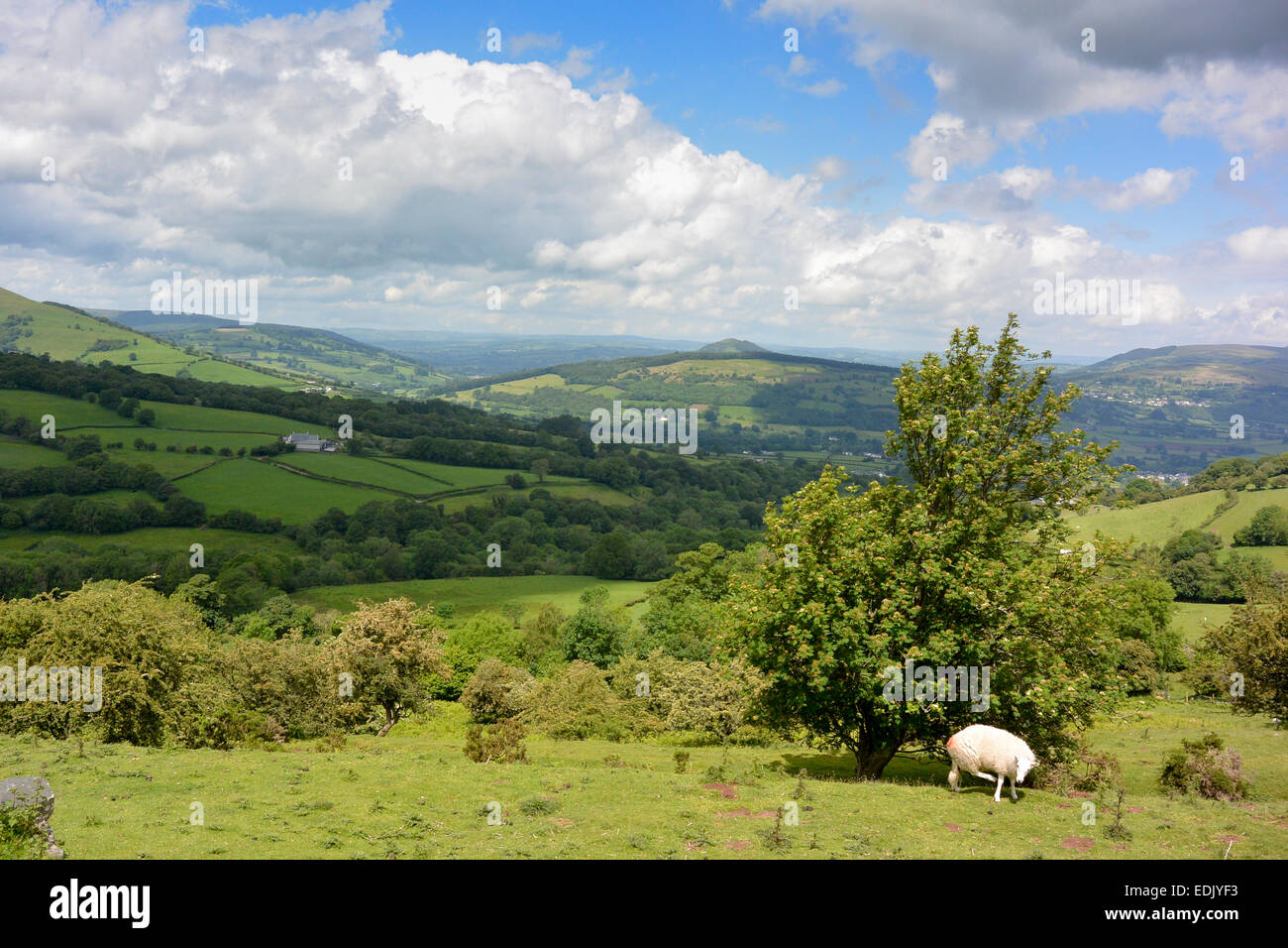 Welsh countryside in the Brecon Beacon National Park, Mid Wales, UK ...