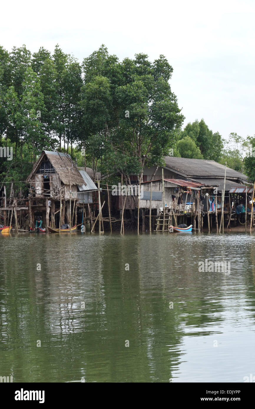 River houses on stilts, with longtail boats, Mangrove forest, Krabi ...