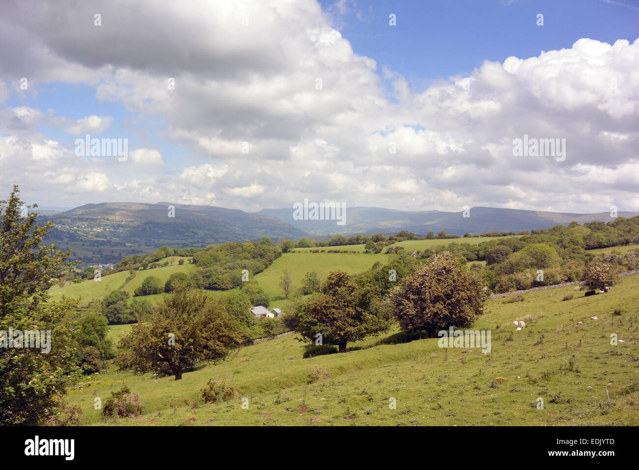 Welsh countryside in the Brecon Beacon National Park, Mid Wales, UK ...