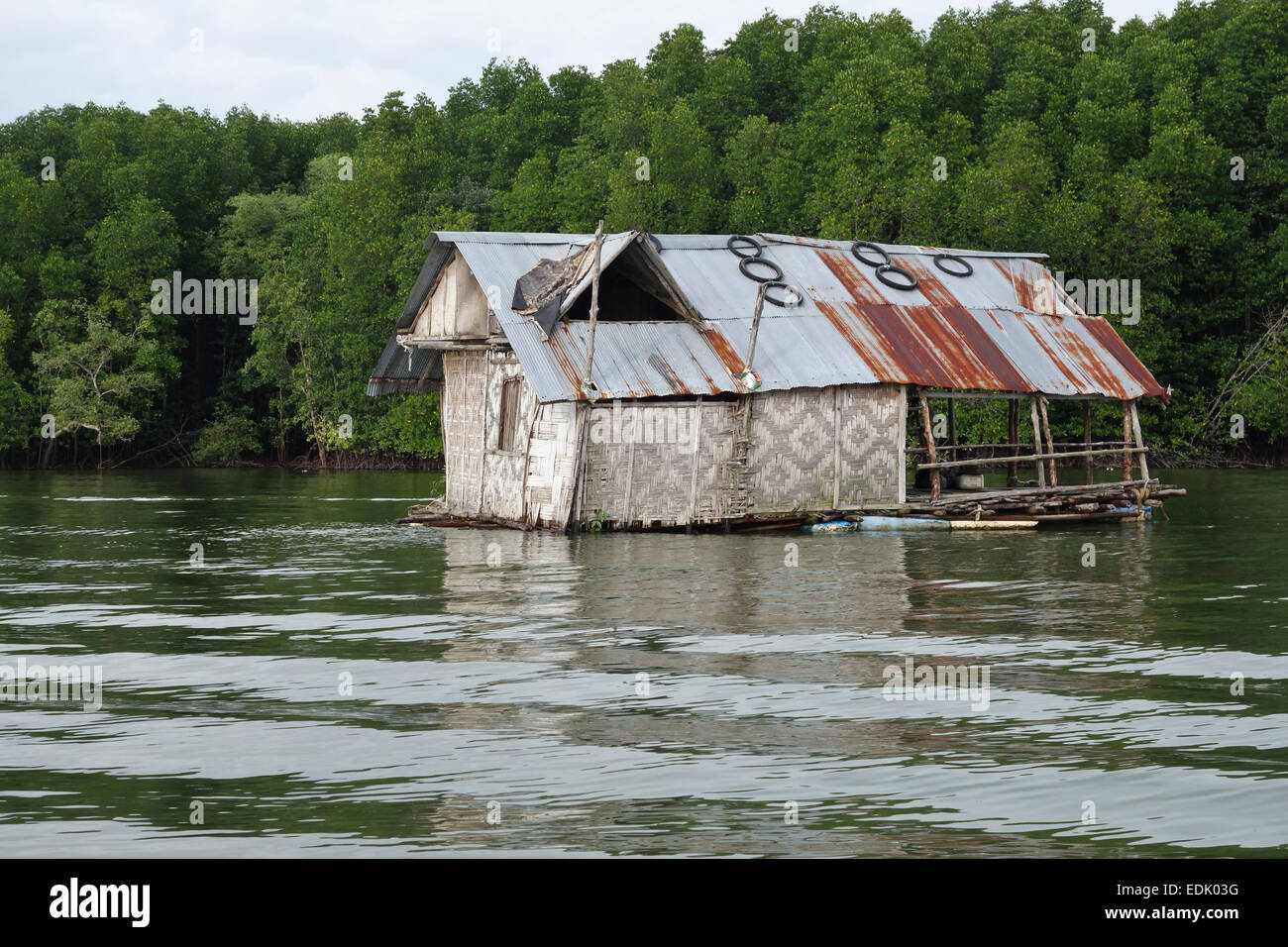 FLoating river house with Mangrove forest behind, Krabi river, Thailand ...