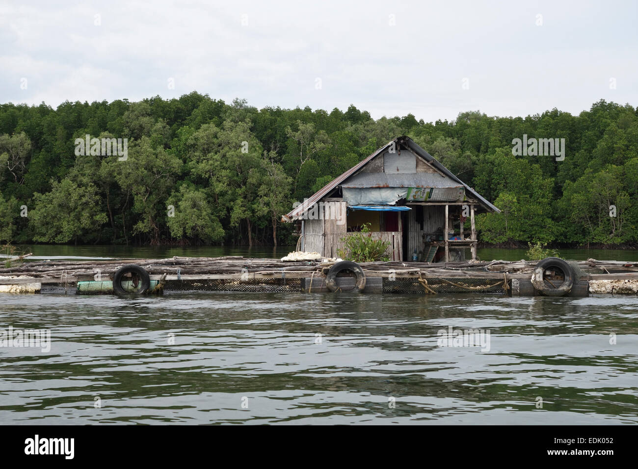 FLoating river house with Mangrove forest behind, Krabi river, Thailand ...