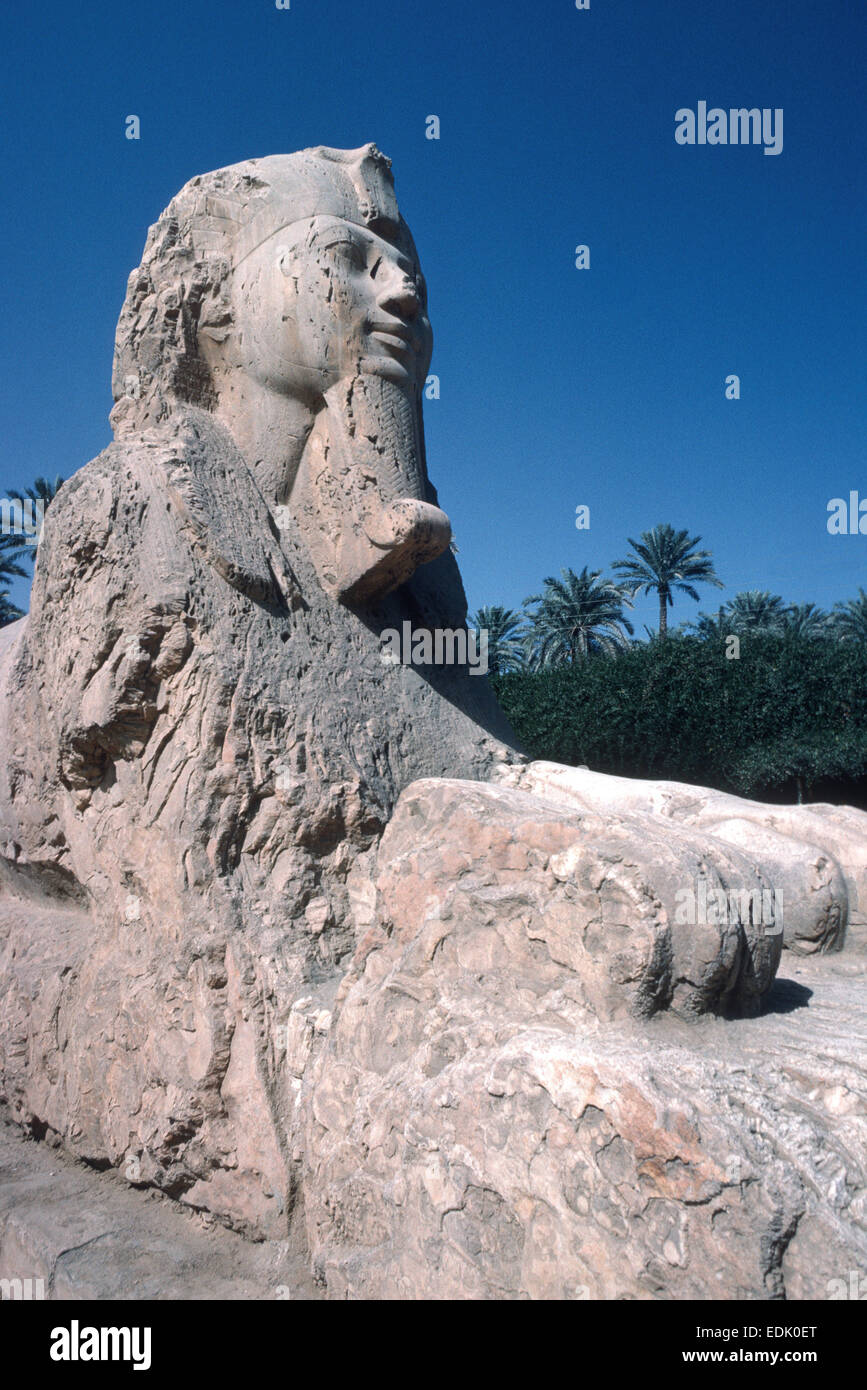 "Alabaster Sphinx, Memphis, Egypt Stock Photo - Alamy