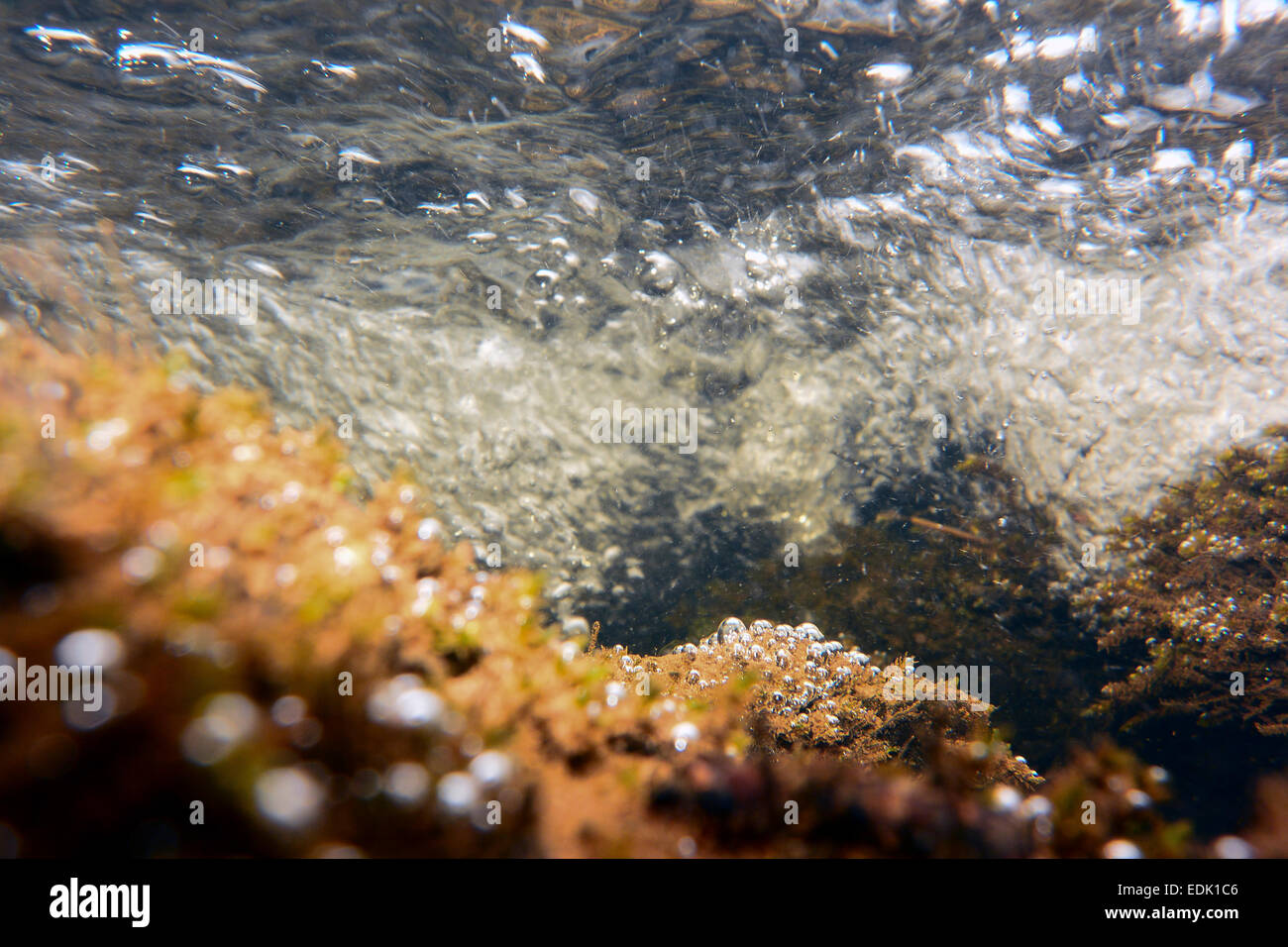 Uk under over water surface hi-res stock photography and images - Alamy