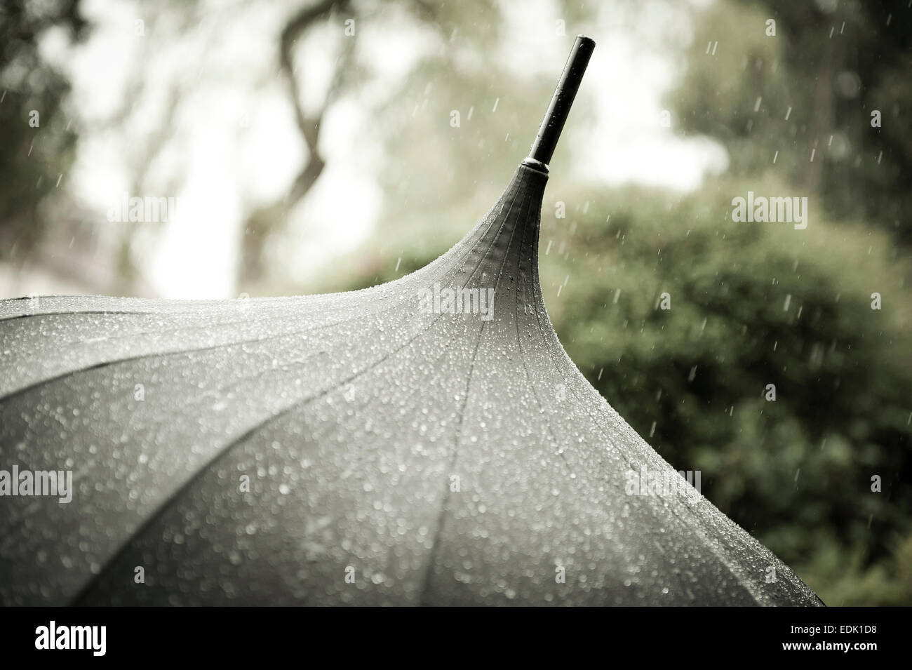 Umbrella in the rain Stock Photo - Alamy