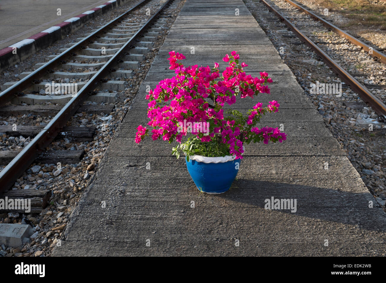 Train station flowers platform hi-res stock photography and images - Alamy
