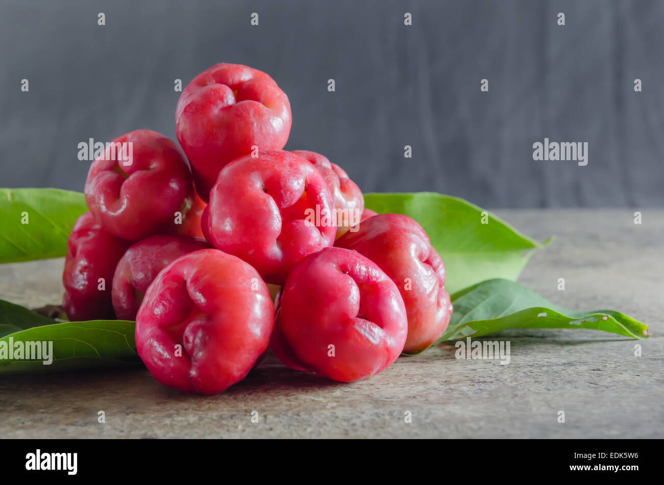 Chompu hi-res stock photography and images - Alamy