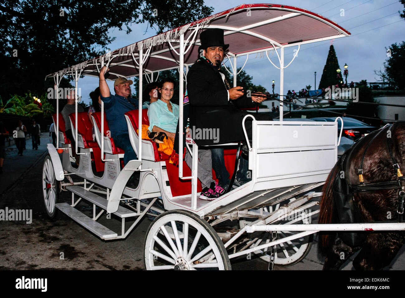 Mule drawn carriage in hi-res stock photography and images - Alamy